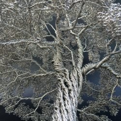 Wire Tree Sculptures Clive Maddison 632563 | MOMENTS Journal