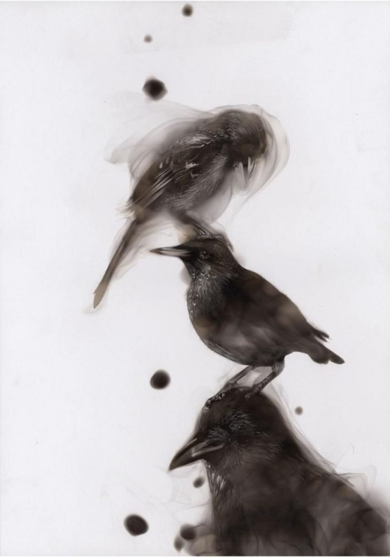 Bird Paintings Using Fire and Soot by Steven Spazuk | MOMENTS Journal