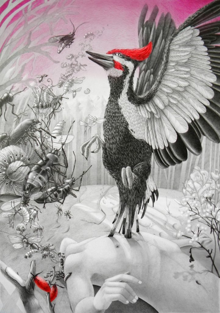 The Surreal Pencil Drawings of Lena Klyukina -- exploring the universe ...